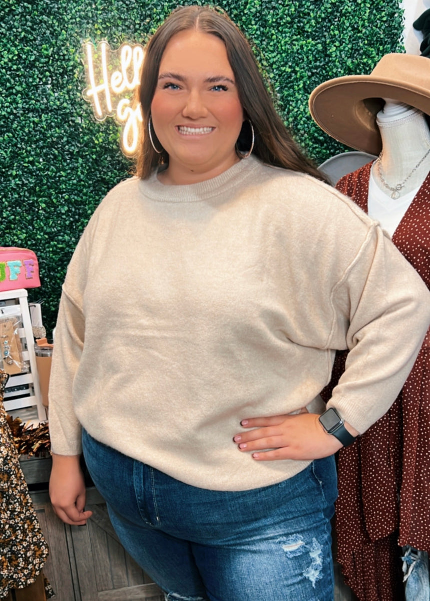 Curvy Beige Sweater – Jagged Ambition